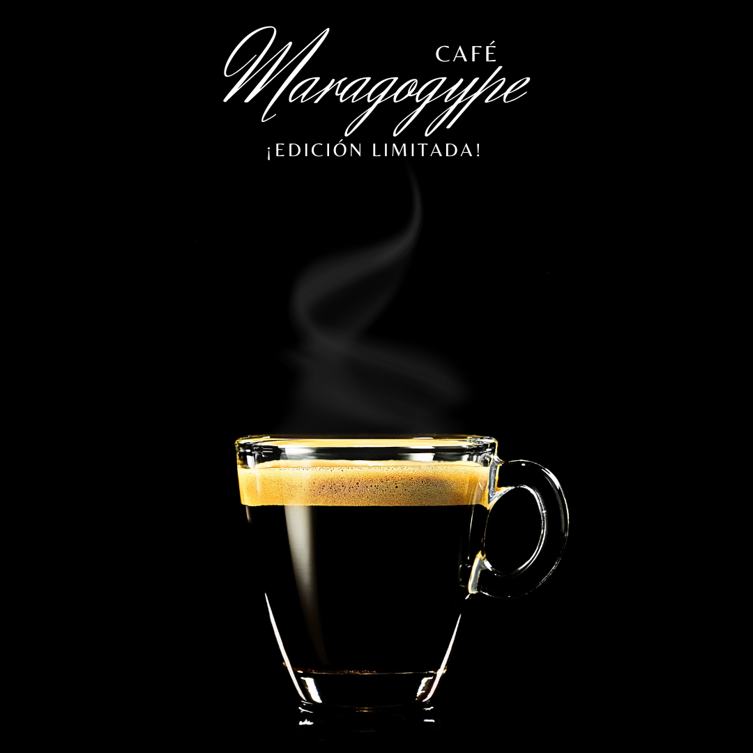 Café Márago Excelso 500 grs. – Charlas Café®